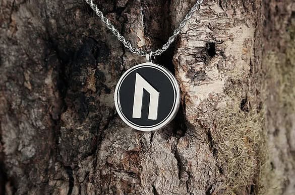 Eihwaz Rune Meaning: Complete Guide to the Norse Yew Tree and Endurance ...